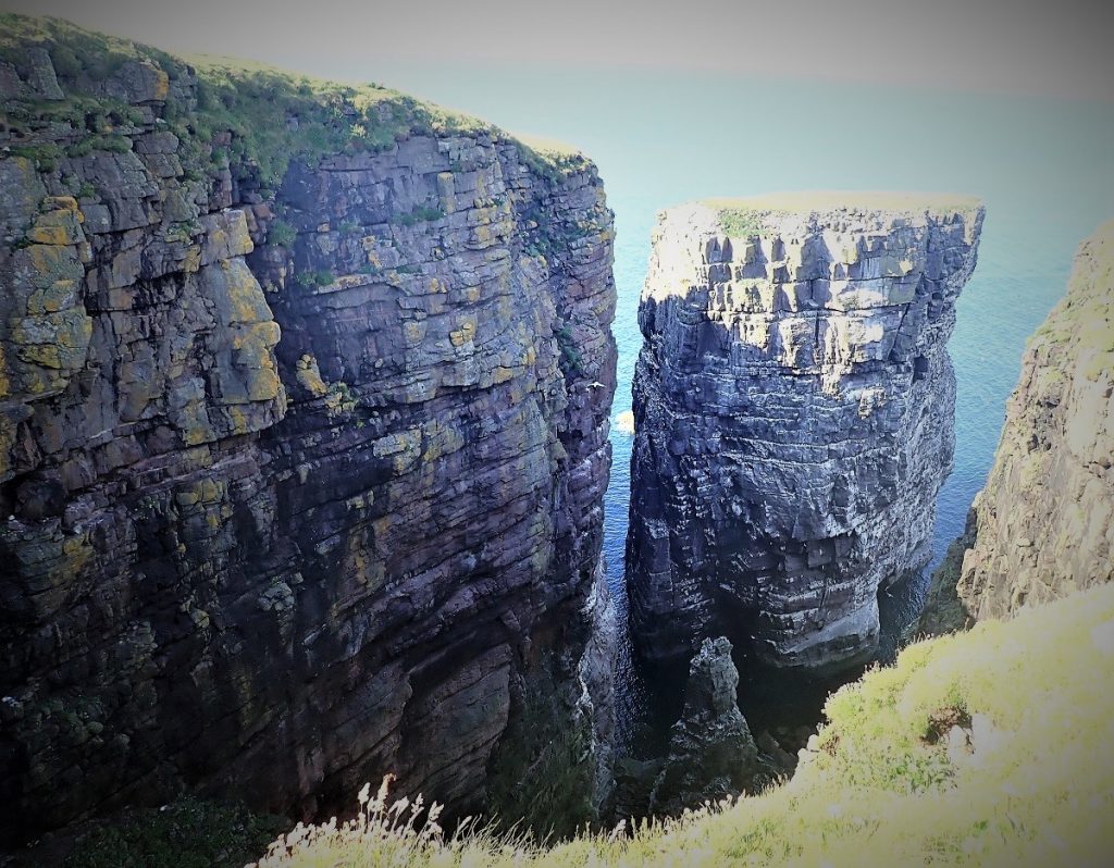 Handa - Scot Islands